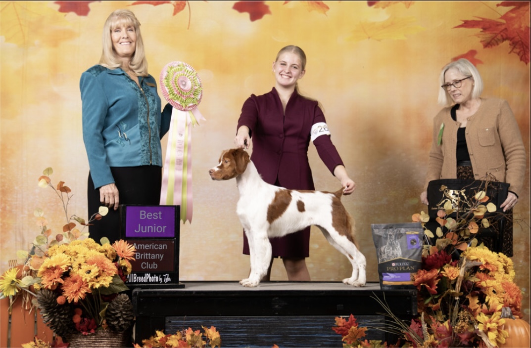 ABC National Specialty Best Junior Handler | The American Brittany Club